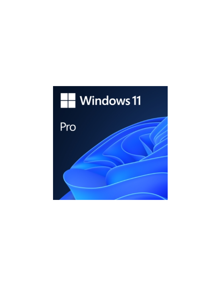 WINDOWS 11 pro